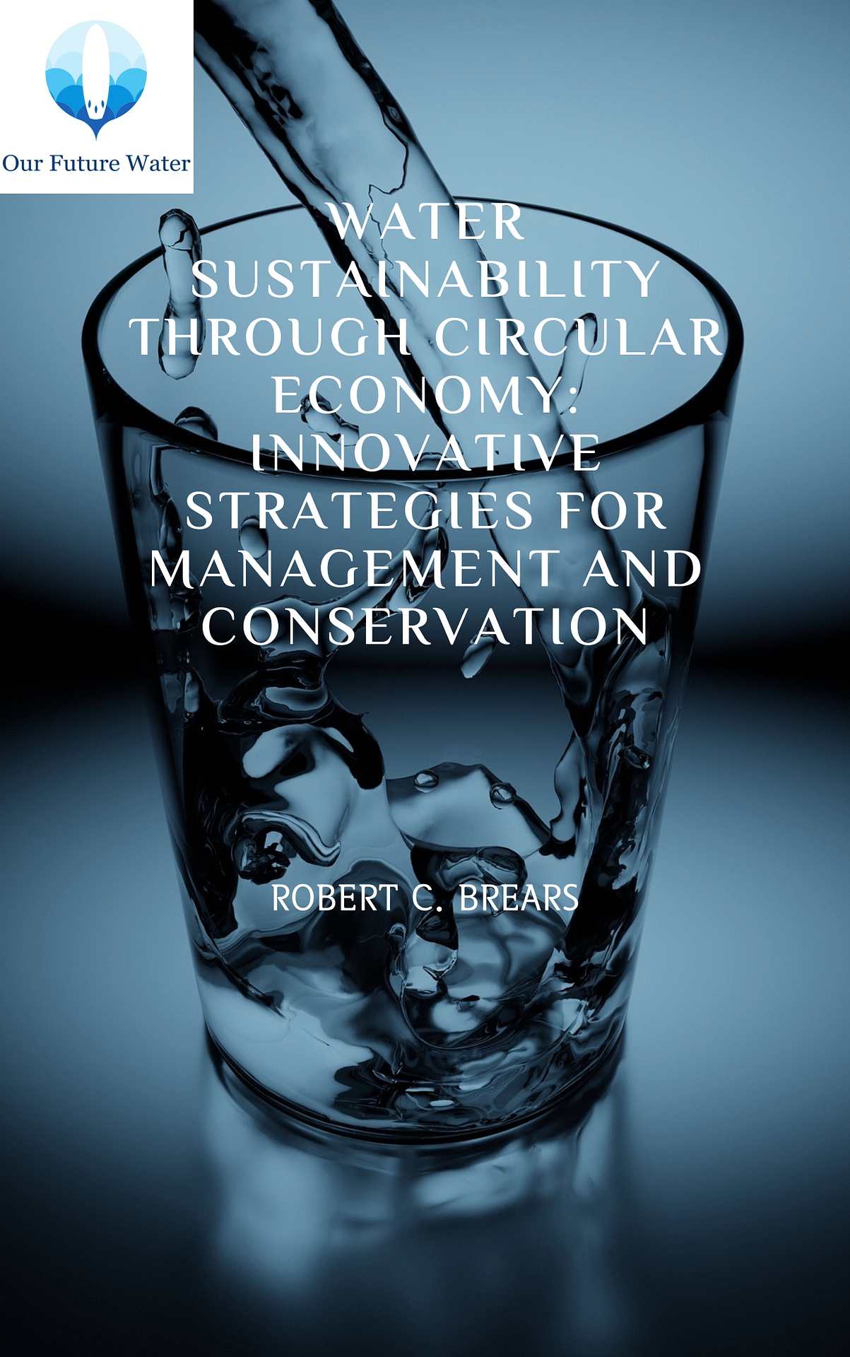 Water Sustainability through Circular Economy: Innovative Strategies ...